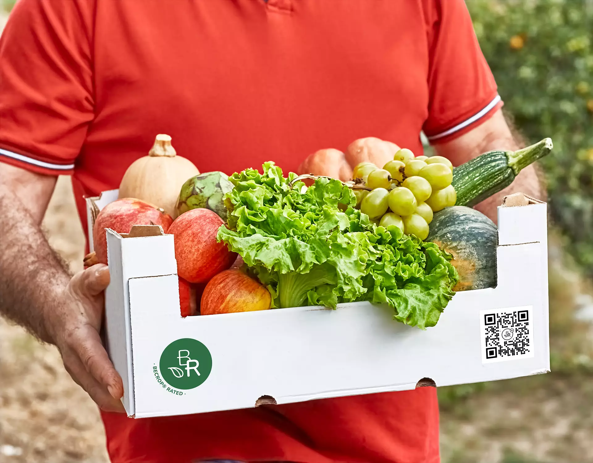 BeCrop Rate | Biome Makers